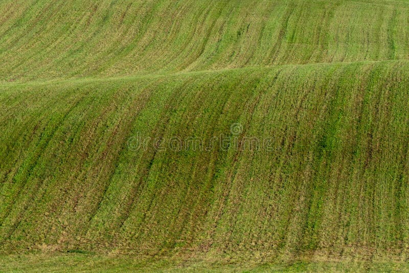 Undulating field stock photo. Image of undulating, grass - 287245614