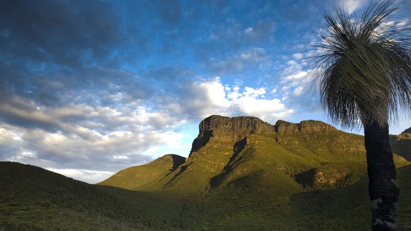 Undulating landscape stock image. Image of knoll, stirling - 11551207