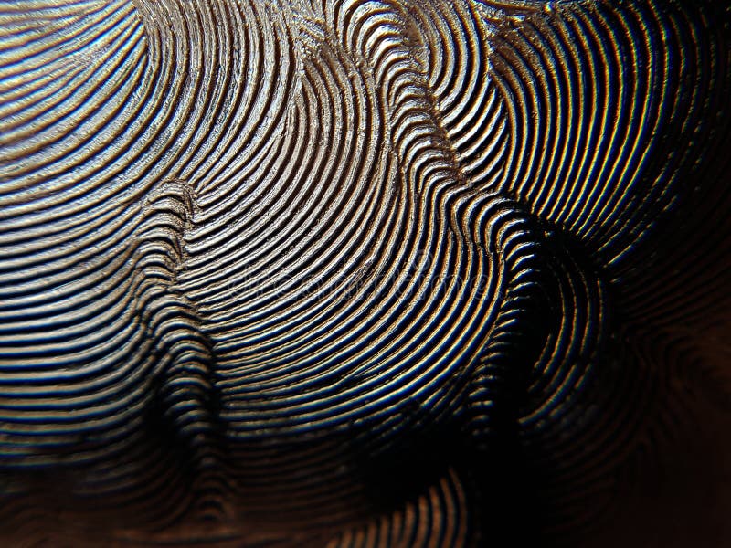 Undulating Patterns Created on a Plain Surface by Light Interacting ...