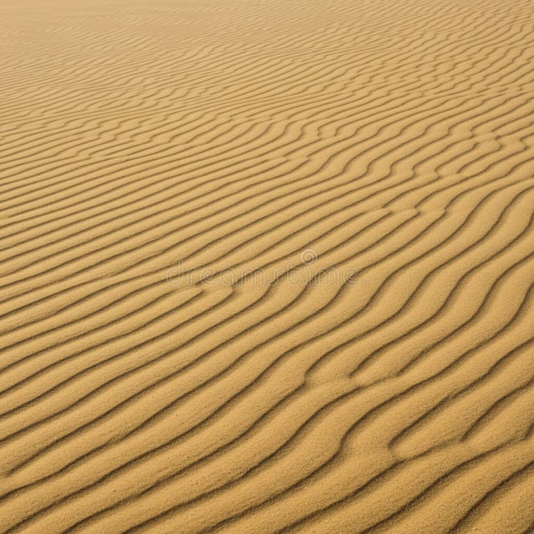 Undulating Sand Dunes with Ripples Create a Mesmerizing Pattern. Smooth ...