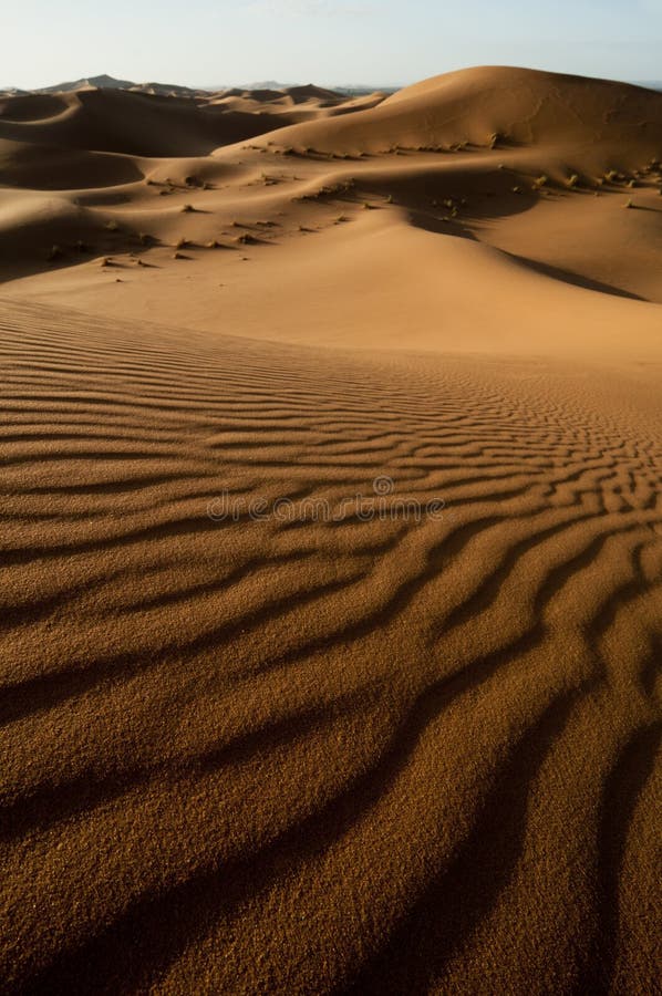 Undulating Sand Dunes In Sahara Desert Stock Image - Image of tranquil ...