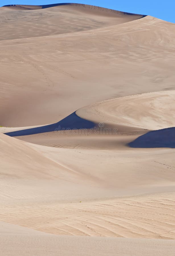 Undulating Sand Dunes and Shadows Stock Image - Image of colorado ...