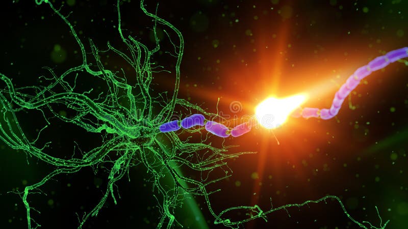 Une cellule nerveuse illustration stock. Illustration du microscopique ...
