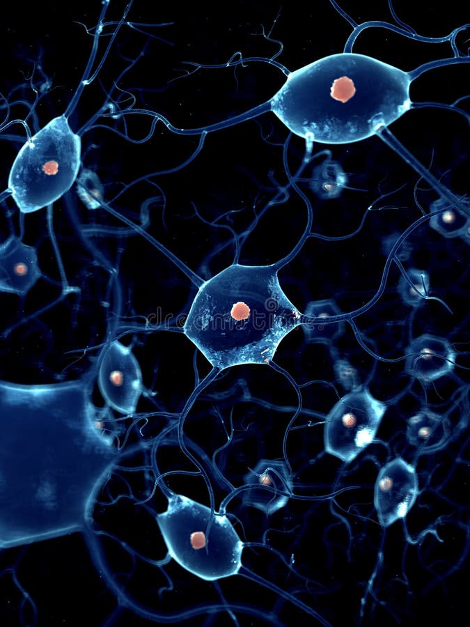 Une cellule nerveuse illustration stock. Illustration du anatomie ...