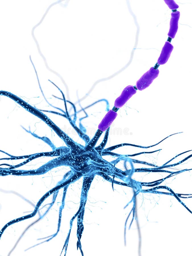 Une Cellule Nerveuse Humaine Illustration Stock - Illustration du ...