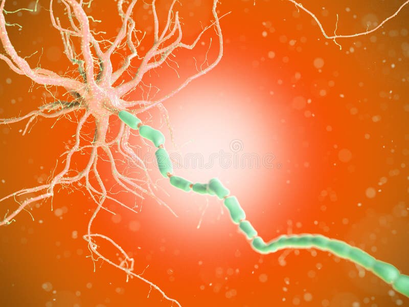Une Cellule Nerveuse Humaine Illustration Stock - Illustration du ...