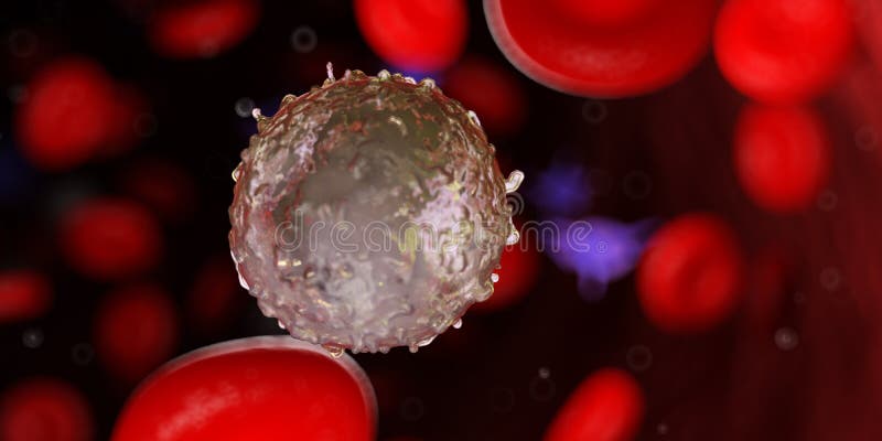 Une Cellule Sanguine Blanche Illustration Stock - Illustration du ...