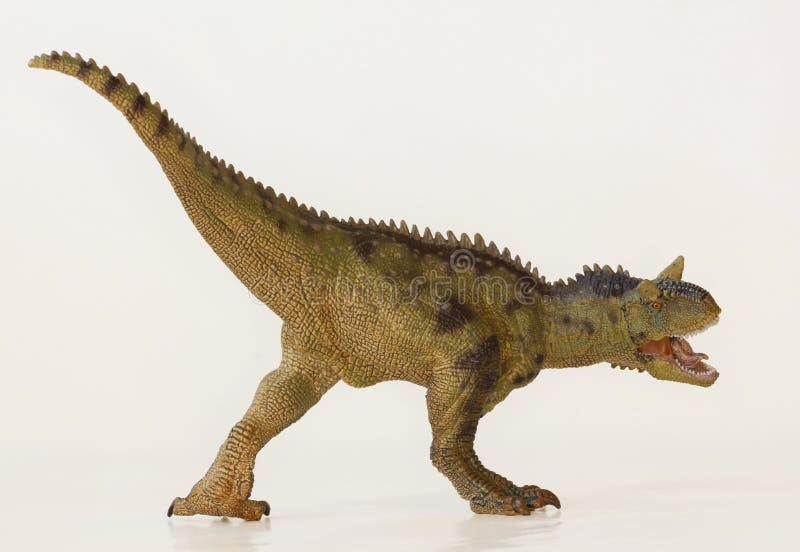 Une Chair Mangeant Le Dinosaure De Carnotaurus, Taureau Carnivore Photo ...