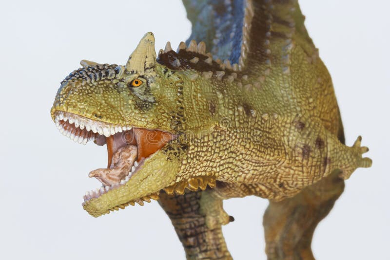 Une Chair Mangeant Le Dinosaure De Carnotaurus, Taureau Carnivore Image ...