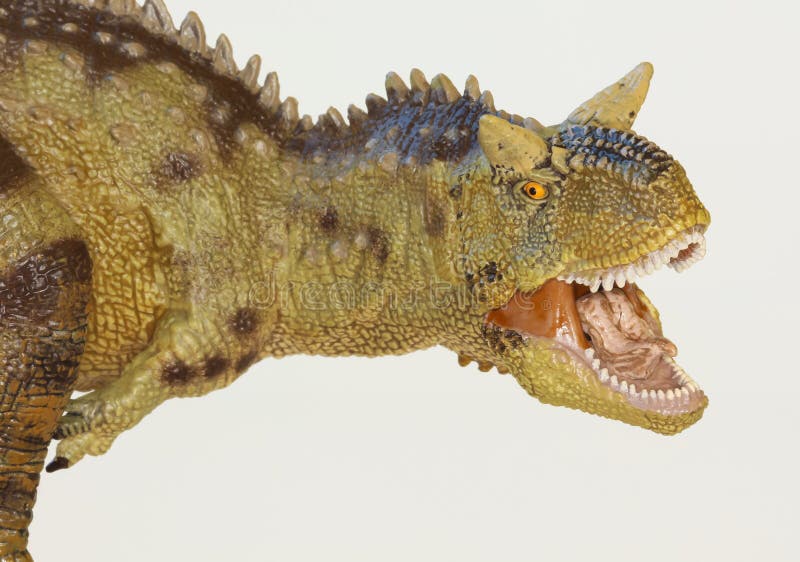 Une Chair Mangeant Le Dinosaure De Carnotaurus, Taureau Carnivore Photo ...