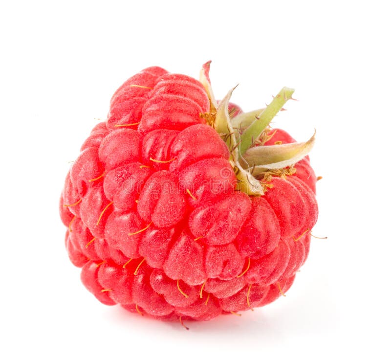 582 Une Framboise Simple Sur Un Fond Blanc Photos libres de droits et ...