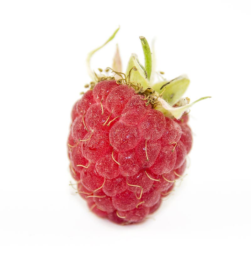 Une framboise photo stock. Image du mûr, baie, lame, fond - 43613418