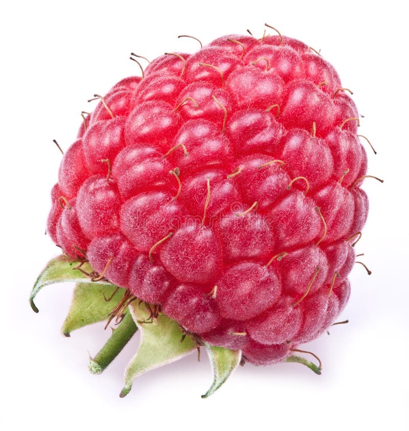 Une framboise riche. image stock. Image du lame, simple - 36459063