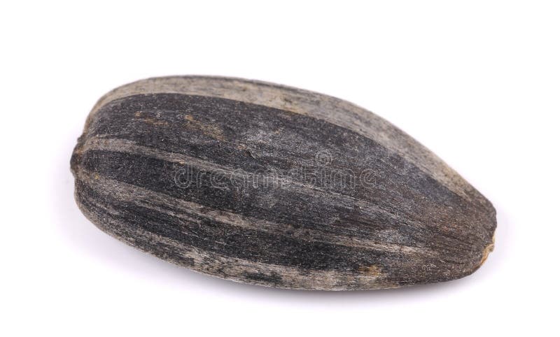 Une graine de tournesol image stock. Image of alimentation - 38778347