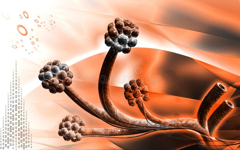 Illustration Terminale De Bronchioles Illustration Stock - Illustration ...