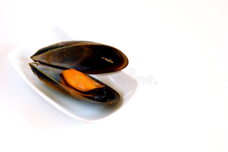 Une moule image stock. Image du aquatique, delicatessen - 8522581
