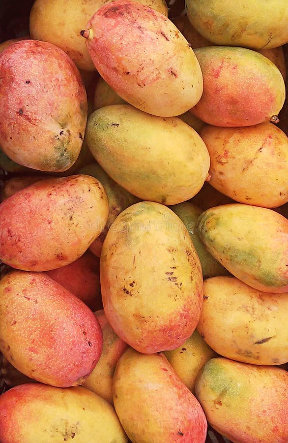 Mangues Photos Stock - Téléchargez 9,162 Photos libres de droits