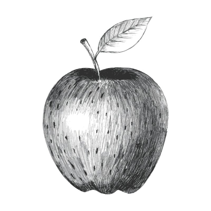 Une pomme illustration de vecteur. Illustration du fruits - 42487849