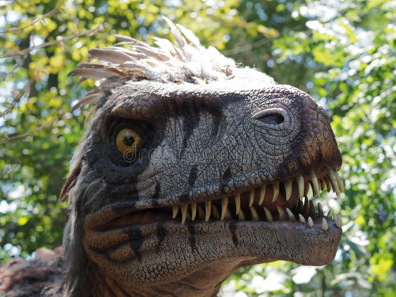 Une Reproduction De L'Utah Raptor Photo éditorial - Image du fuselage ...