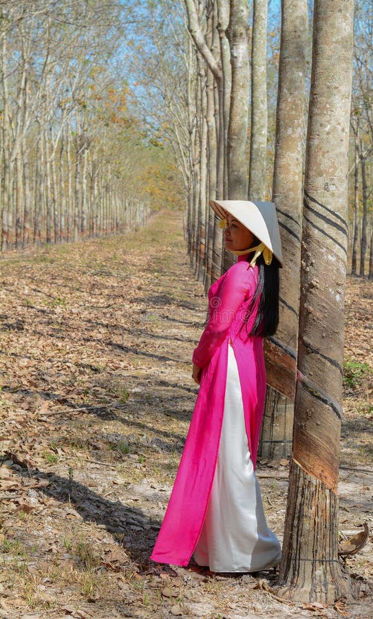 Une Robe Asiatique Traditionnelle Ao Dai Image stock - Image du asie ...