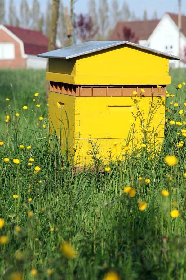 Une ruche photo stock. Image du environnement, pollinisation - 68987354
