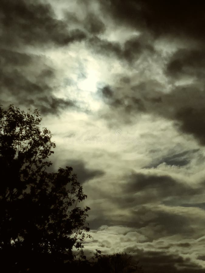 Unedited cloudy sky stock image. Image of tree, white - 205317717