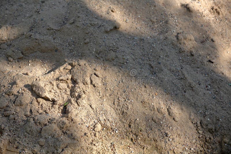 Dirty sand texture stock image. Image of backdrop, construction - 146594581