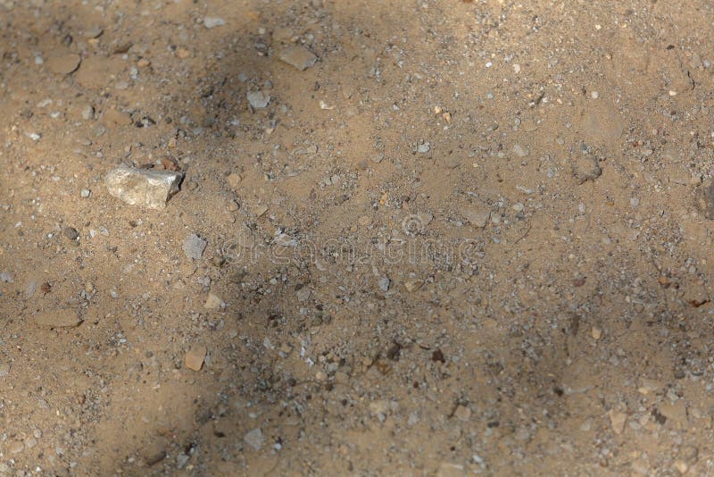 Dirty sand texture stock photo. Image of barren, pile - 146594556
