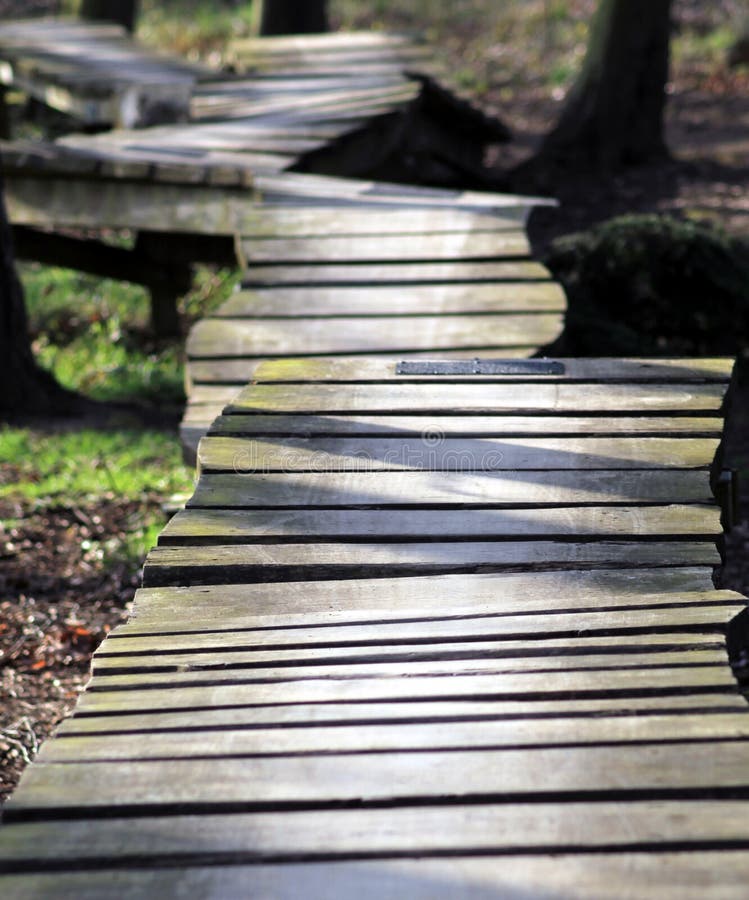 Uneven Wooden Path in Forest Stock Image - Image of recedes, forested ...