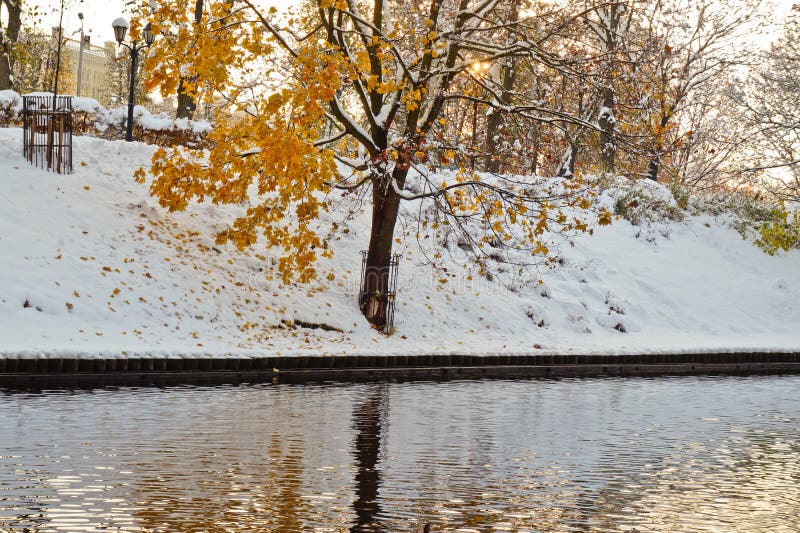 Unexpected Snow in November Stock Image - Image of fresh, walk: 80177179