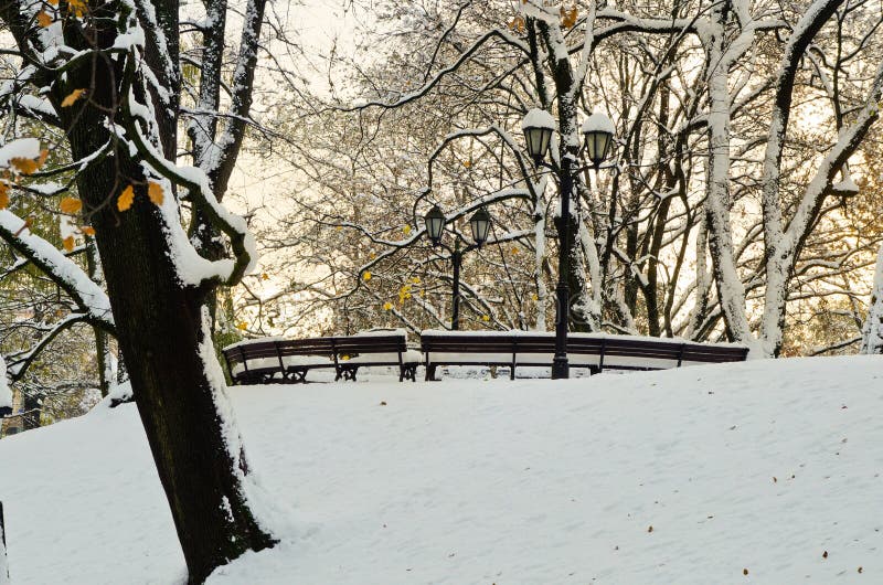 Unexpected Snow in November Stock Image - Image of shine, december ...