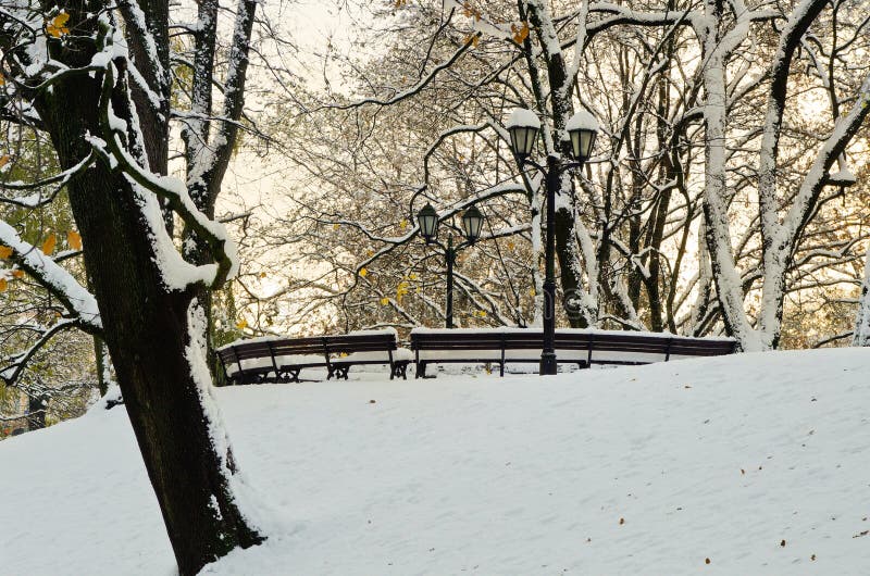 Unexpected Snow in November Stock Image - Image of fresh, walk: 80177179