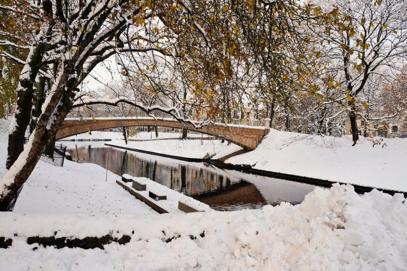 Unexpected Snow in November Stock Photo - Image of fresh, tree: 80177204