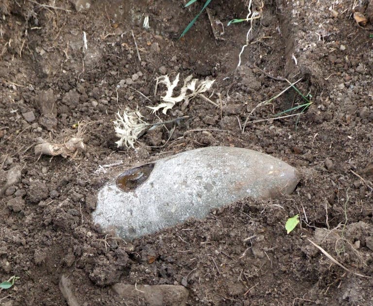 Ww2 Bomb Stock Illustrations – 248 Ww2 Bomb Stock Illustrations ...