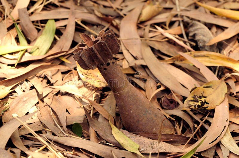Unexploded Mortar Round in the Undergrowth Stock Photo - Image of ...