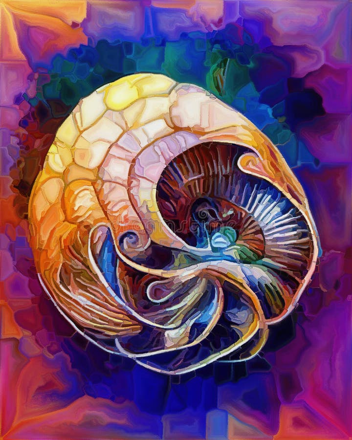 Unfolding of Nautilus stock illustration. Illustration of decor - 297808002