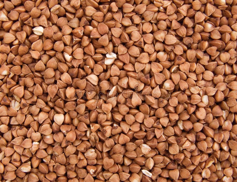 Unground buckwheat stock image. Image of kasha, boiled - 13931513