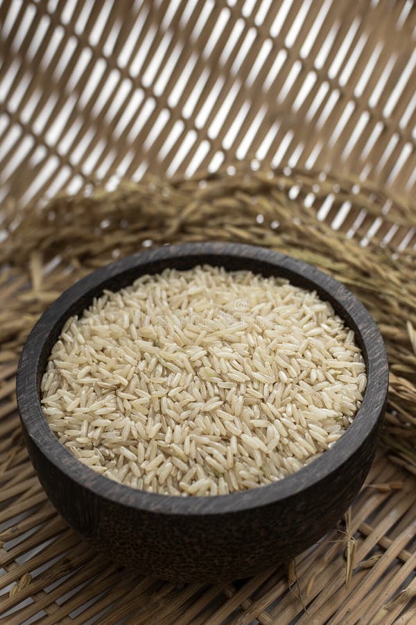 Unhulled Asian Brown Rice Grains in Rustic Setting Display in Cambodia ...