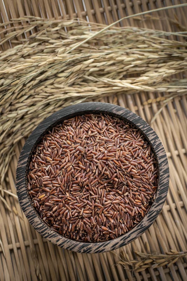 Unhulled Asian Red Rice Grains in Rustic Setting Display in Cambodia ...