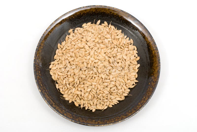 Unhulled rice stock image. Image of materials, hulls - 19122341