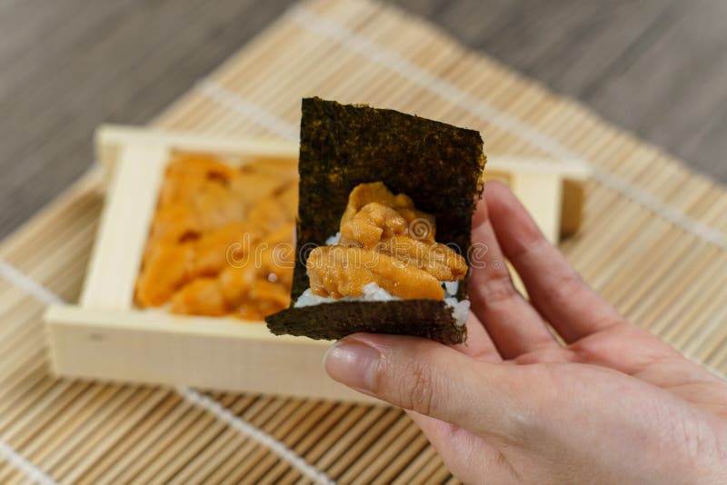 Uni Japanese Sea Urchin with Rice and Seaweed in Hand Stock Image ...