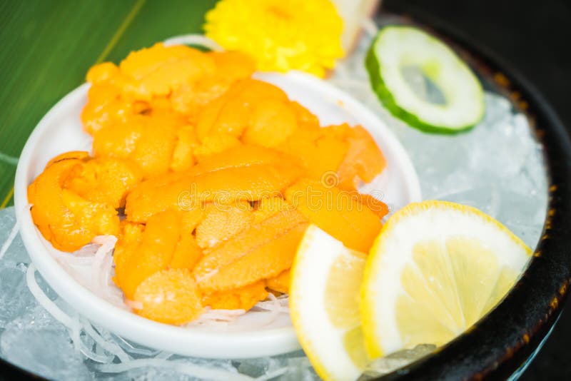 Uni sashimi stock photo. Image of hokkaido, urchin, ingredient - 92240470