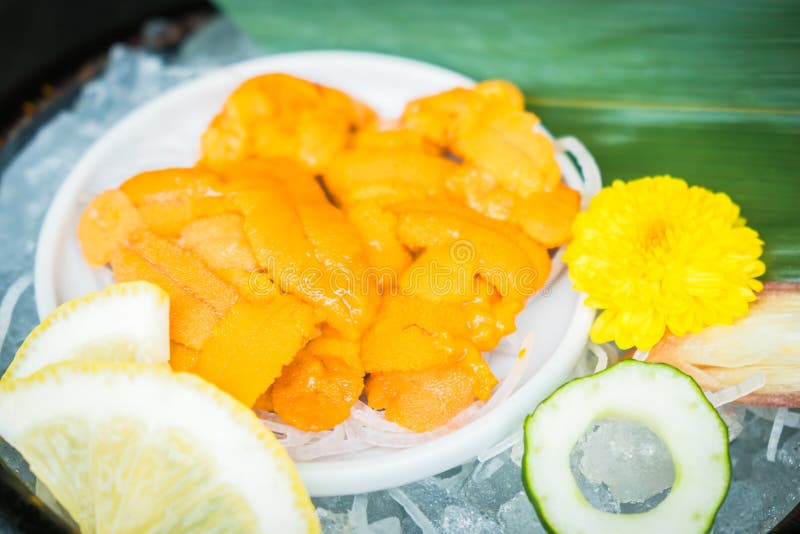 Uni sashimi stock photo. Image of short, gourmet, green - 92566004