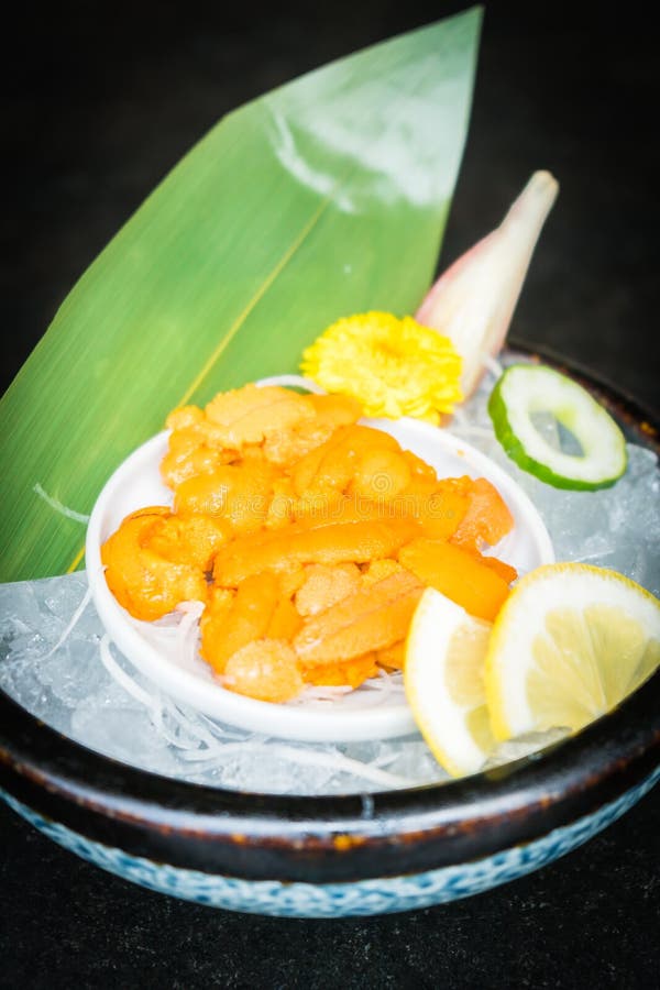 Uni sashimi stock image. Image of cooking, food, sushi - 95936629