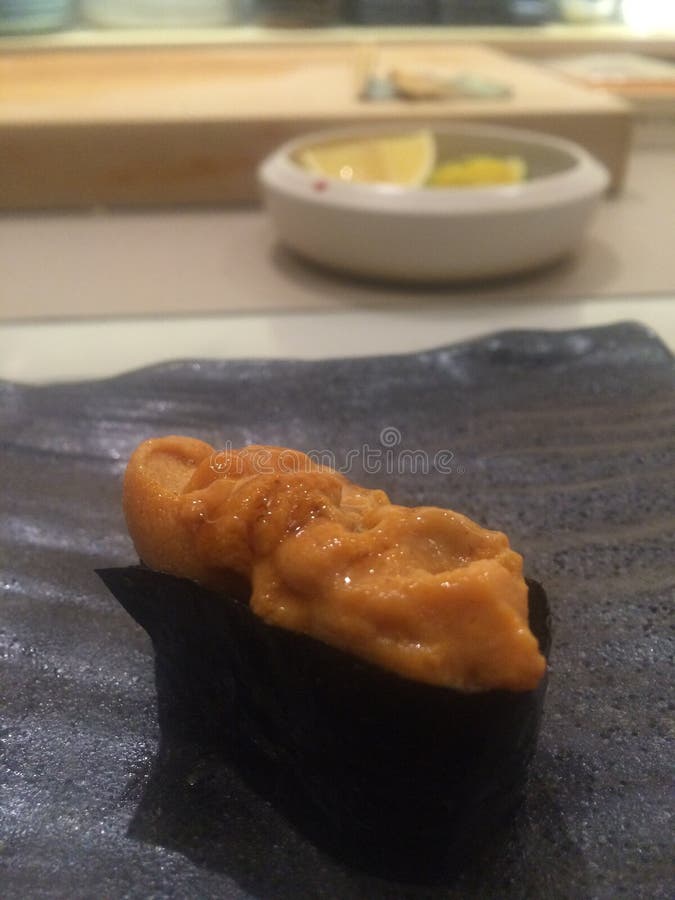 Uni sushi stock image. Image of japanese, sushi, toronto - 92623495