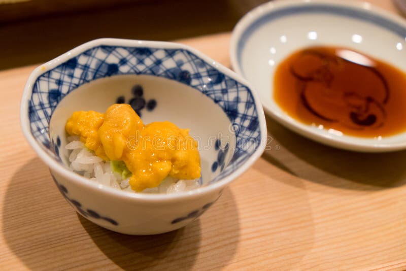 Uni and sushi rice stock photo. Image of food, nigiri - 58268692