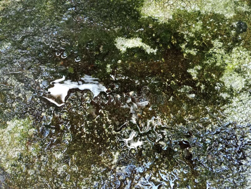 Unic wallpaper stock illustration. Illustration of walpaper - 365229065