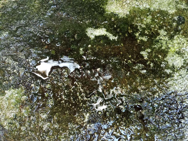 Unic wallpaper stock illustration. Illustration of walpaper - 365229065