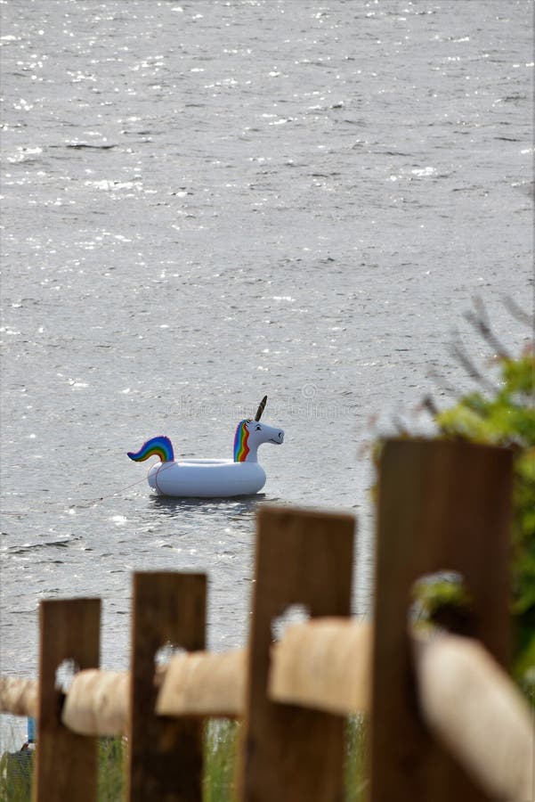 A unicorn float stock image. Image of unicorn, inflatable - 98079999