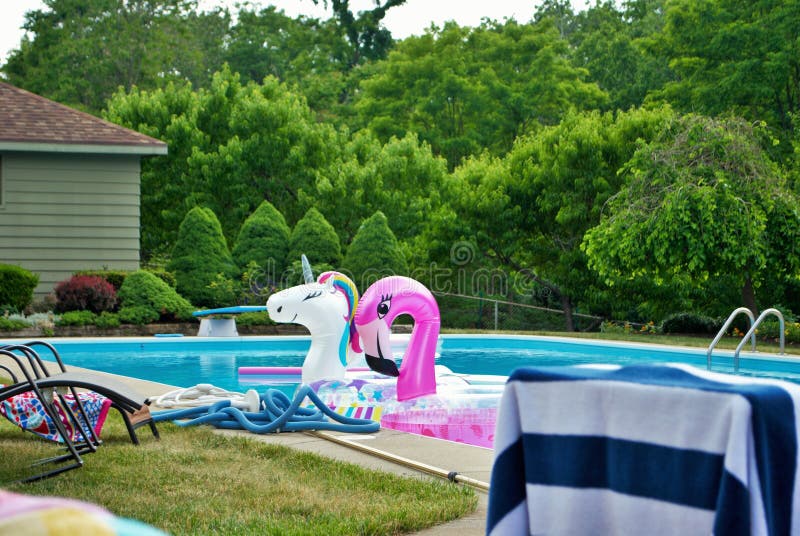 Unicorn and Pink Flamingo Inflatable Floating in a Backyard Swimming ...